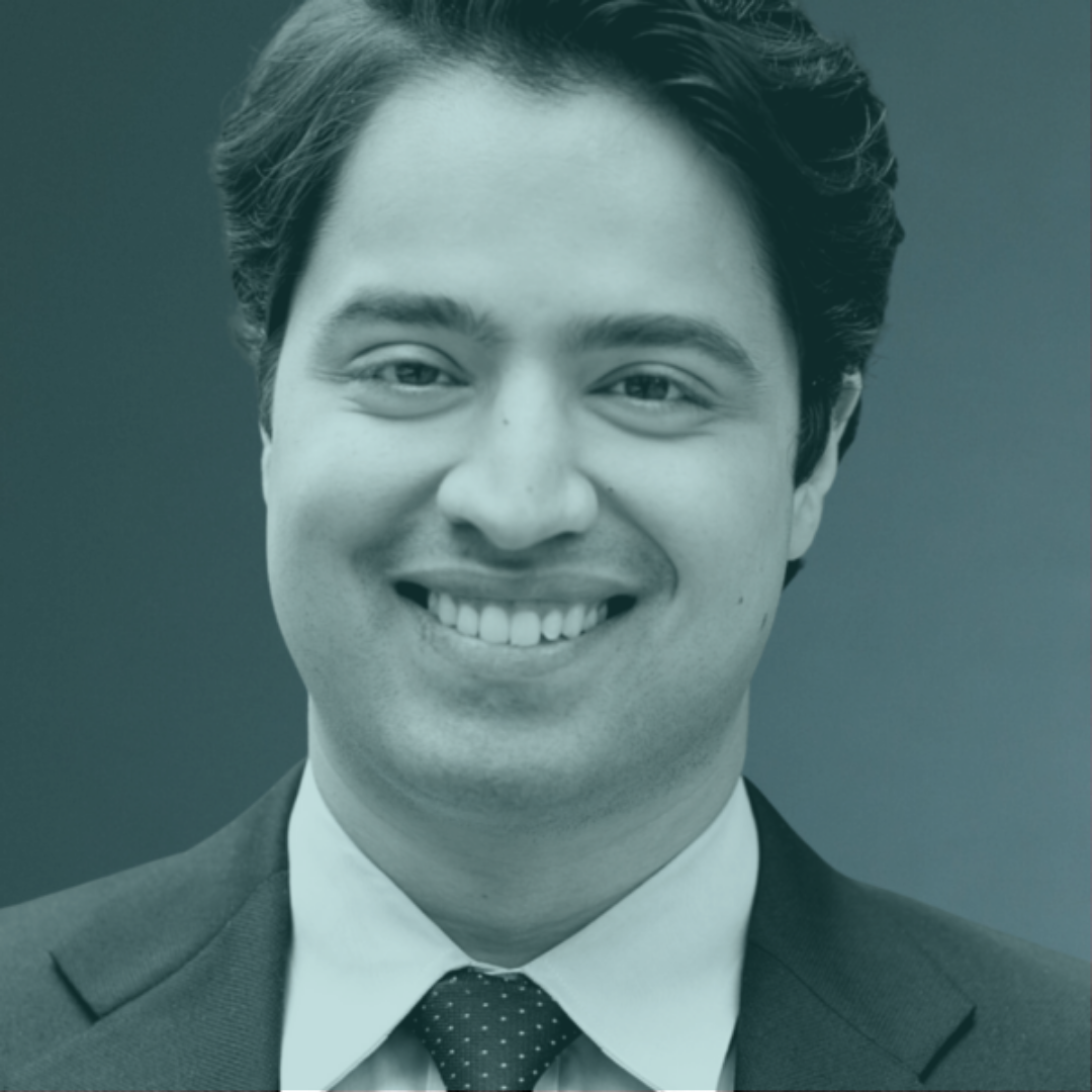 Sanjay Seth Das Progressive Zentrum En